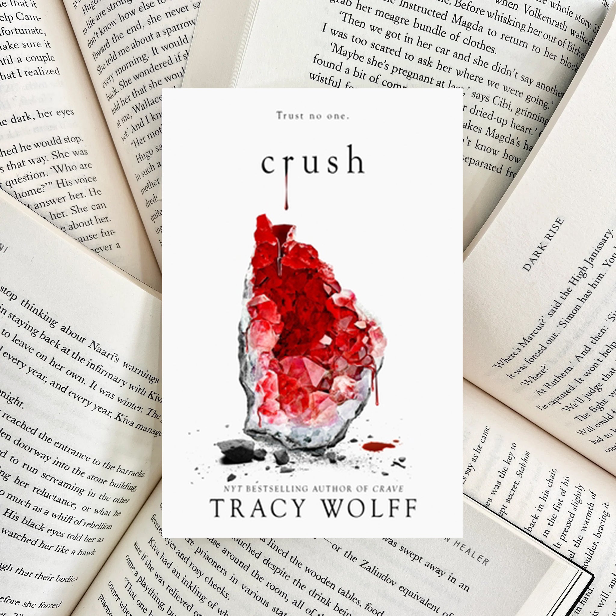 Crush | Lisa Babler – Contemporary Romance Novel