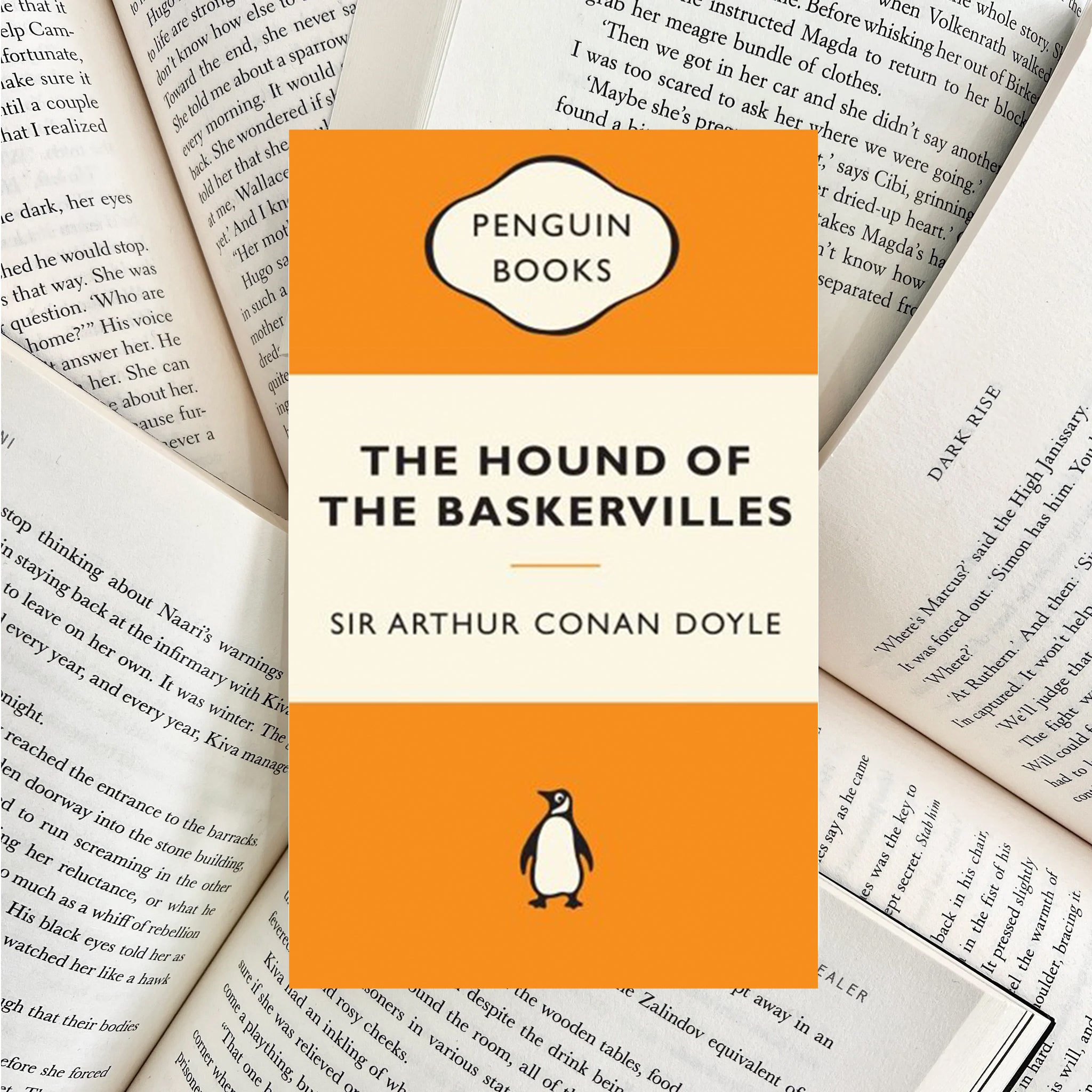 The Hound of the Baskervilles (Second-Hand) - Perfect Condition